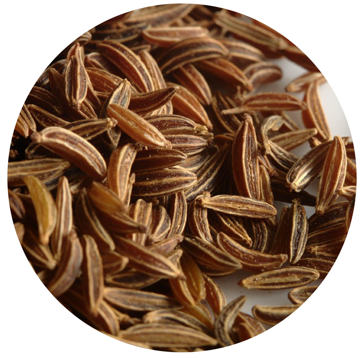 Caraway Seed | Herb Powder – Holistic Farmacy